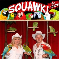 Squawk! The Show - The Most Incredible Bird Show You Will Ever See ...