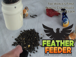 Point, click and feed with the world’s first remote controlled bird ...