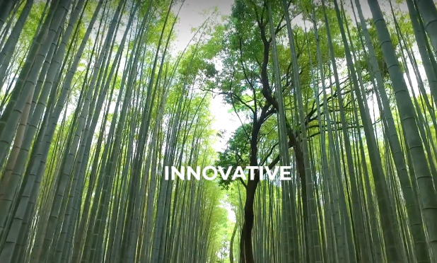 First-in-the-World Award-Winning BamcoFlor® Revolutionary Bamboo ...